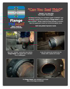 Flange Pelseal Brochure Download - Pelseal Technologies